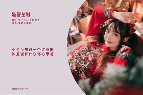 [艺图语] 2022 04 26 温馨圣诞 兔子zzz不吃胡萝卜 微图坊