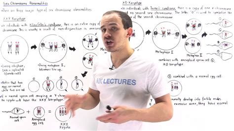 Sex Chromosome Abnormalities Youtube