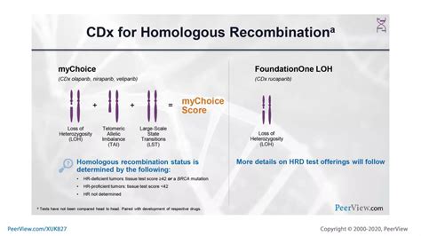 Targeting Pathogenic Mutations In The Dna Damage Response Pathway