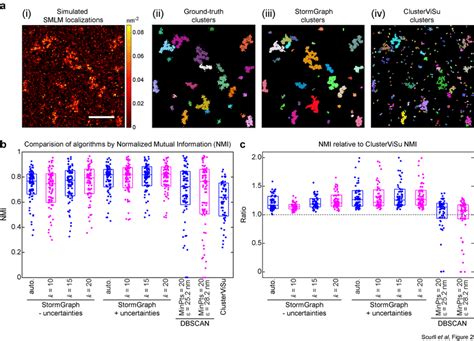stormgraph consistently outperforms clustervisu and dbscan on simulated