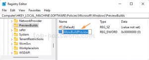Methods To Disable Windows Insider Program Settings In Windows Password Recovery
