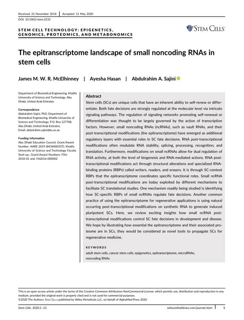Pdf The Epitranscriptome Landscape Of Small Noncoding Rnas In Stem Cells