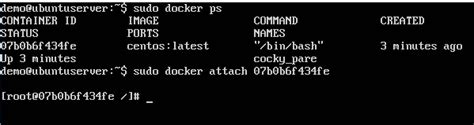 c programming tutorial 8920128728 docker working with containers