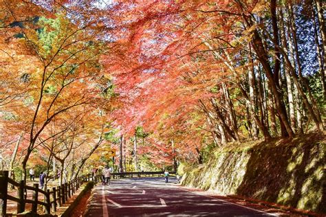 By Pekb Vg Id Photohito