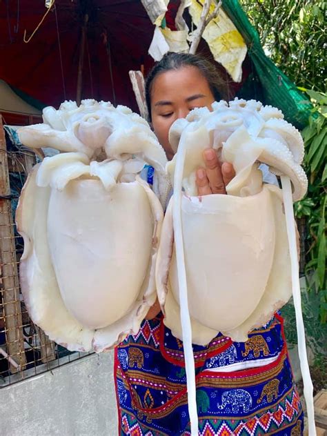 กระดองสด กระดองสด มีทุกขนาดให้เลือก ร้านมหาชัยหมึกย่าง