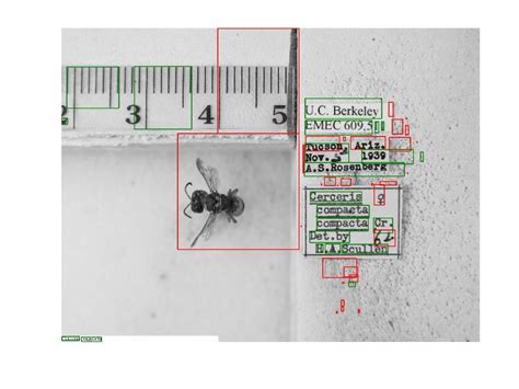 collaborative manuscript transcription improving ocr inputs from ocr