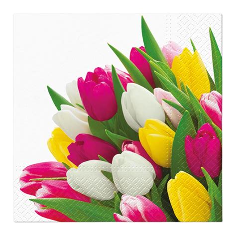 PAW SERWETKI 33X33 20 SZT SDL121500 Drogeriejasmin