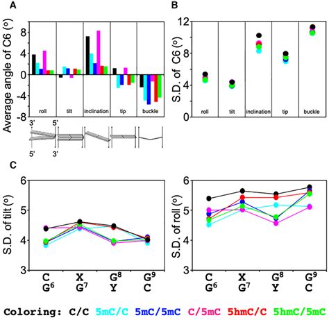Dna Helical Parameters From Md Simulations A Average Values Of The Download Scientific