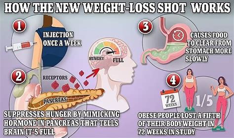 The Fat Jab That Can Help You Lose A Fifth Of Your Weight Tirzepatide