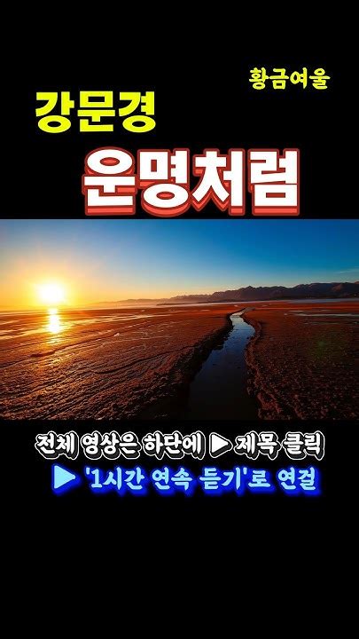 💔 운명 같은 노래｜강문경 ‘운명처럼 감상 Shorts 강문경 운명처럼 1시간연속듣기 감성트로트 사랑노래 트로트명곡 강문경노래 트로트감성 이별노래 힐링