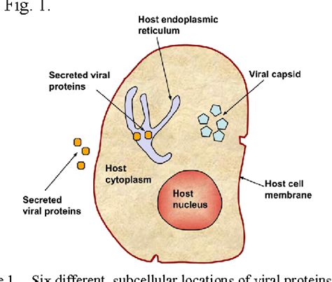 Figure 1 From Predicting The Subcellular Localization Of Proteins With