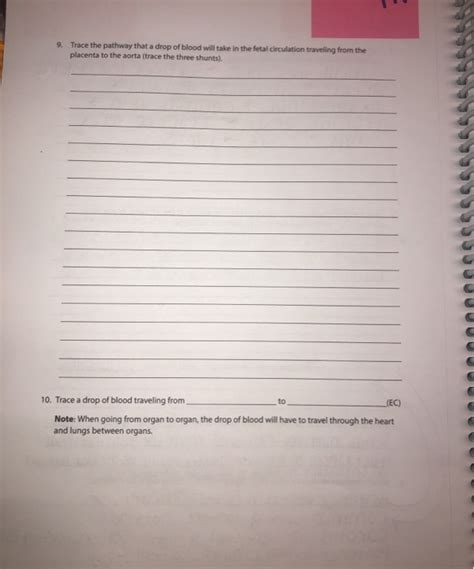 Solved LAB PRE LAB QUESTIONS Write A Hypotheses In Which Chegg