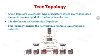 What Is Bus Tree Topology Explained History Of Tree Topology Types Of Tree Topology It Support