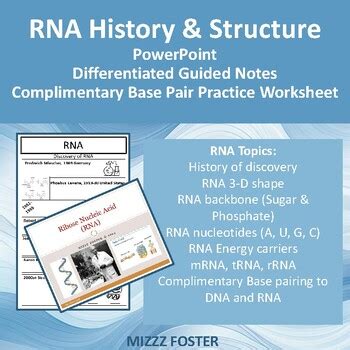 RNA History And Structure PowerPoint With Guided Notes Bundle By Mizzz Foster