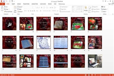 پاورپوینت انار