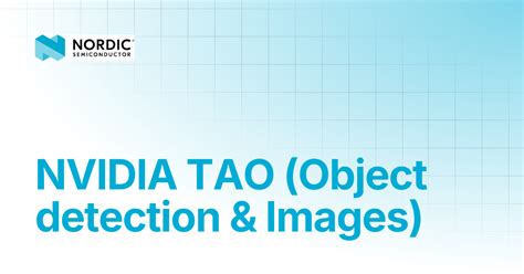 NVIDIA TAO Object Detection Images Nordic