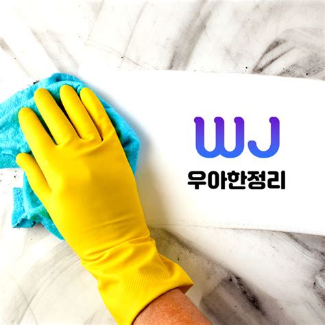 쓰레기집 청소