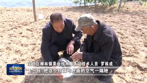 陕西省果业中心