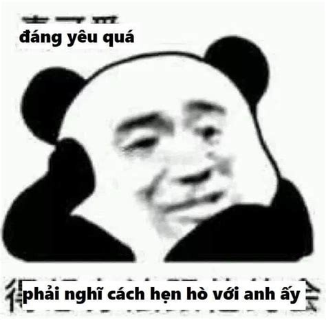 Ghim Của ☾•𝓝𝓱𝓾𝓷𝓰• ☾ Trên Meme GẤu TrÚc Chuyện Cười Meme Gấu Trúc