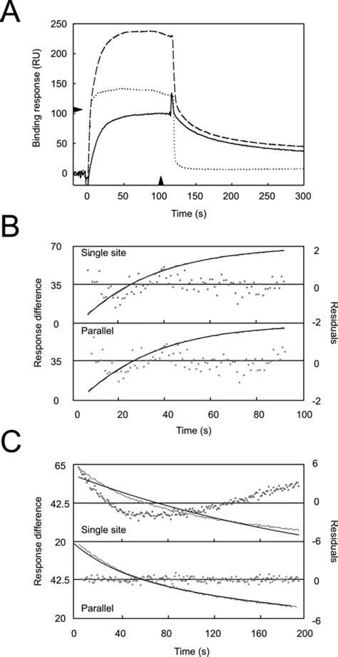 Specific Seca Secyeg Interaction Visualized By Spr A Spr Sensogram Of