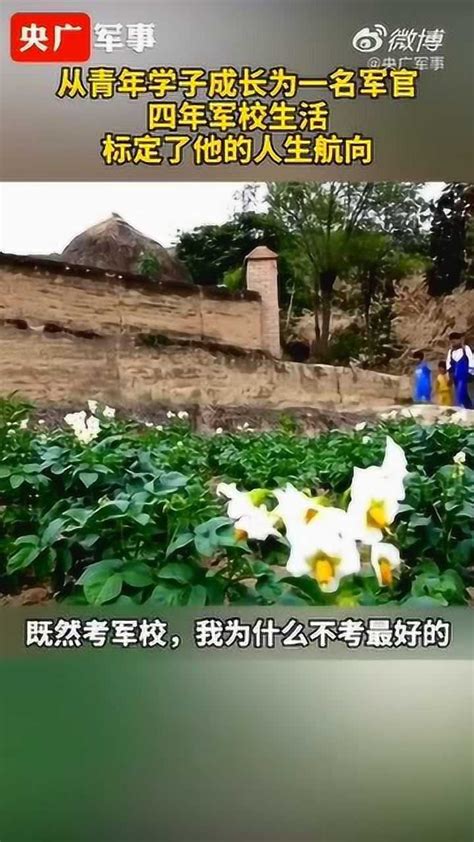 工地收到通知书的搬砖男孩毕业了：魏凯伦从青年学子成长为一名军官高清1080p在线观看平台腾讯视频