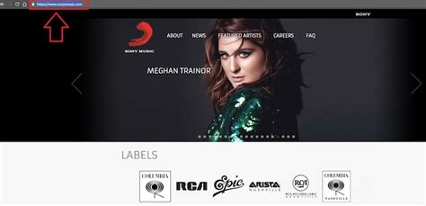 Tips On WordPress Website Design And How To Use A Theme Detector In 5 Steps