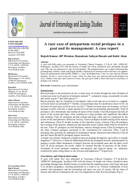 Pdf A Rare Case Of Antepartum Rectal Prolapse In A Goat And Its