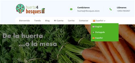 Cómo configurar Polylang Tutorial completo Webempresa