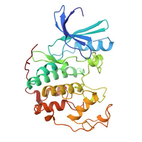 Rcsb Pdb 1b38 Human Cyclin Dependent Kinase 2