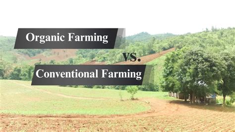 Organic Vs Conventional Farming