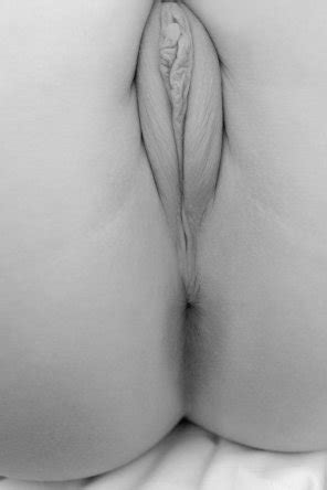 Whatâs the speed limit got to do with it Porn Pic