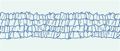 Ruffle Illustrations Royalty Free Vector Graphics And Clip Art Istock