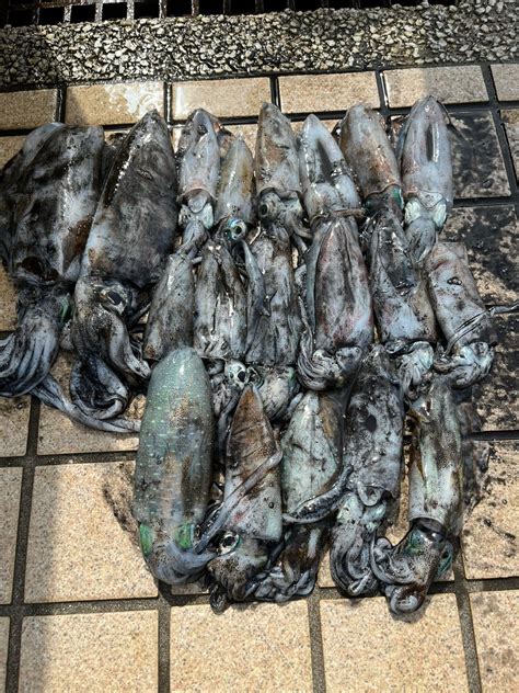魚野川で釣り時々仕事