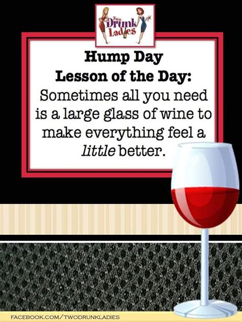 Hump Day Lesson Wine Alcoholic Drinks Wine Drinks