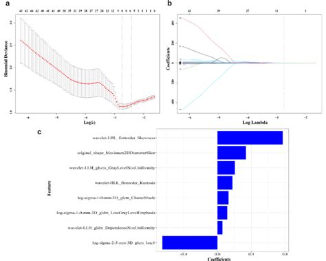 Radiomics Feature Selection Using The Least Absolute Shrinkage And