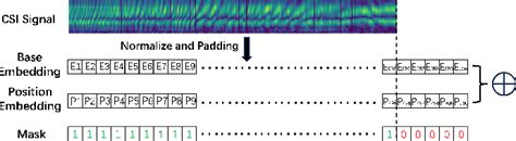 Time Frequency Analysis Of Variable Length Wifi Csi Signals For Person Re Identification