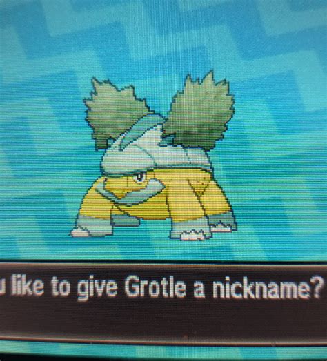 [gen7] Shiny Island Scan Grotle Only Took 3 Resets R Shinypokemon