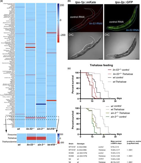 Metabolomic Analysis Reveals Decreased Trehalose Biosynthesis In Download Scientific Diagram
