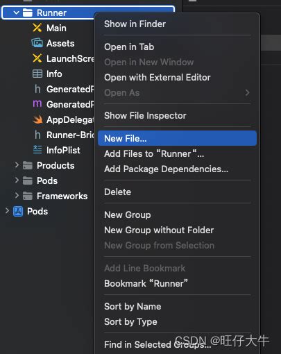 Flutter本地化国际化之app名称flutter Windows 名称国际化 Csdn博客