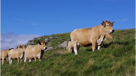 Lancement du plan gouvernemental renforcé de reconquête de notre