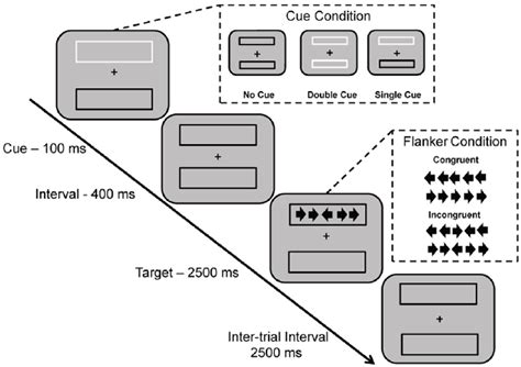 Schematic Of Modified Attention Network Test For Geriatric Samples