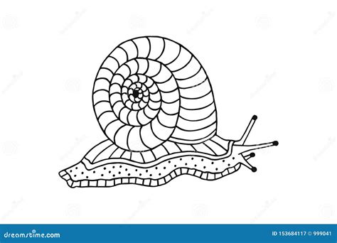 Caracol Animal Em Um Fundo Branco Desenhado à Mão Ilustração Do Vetor
