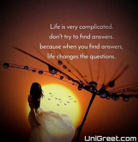 Collection Of Amazing Full 4k Life Quotes Images In English Over 999