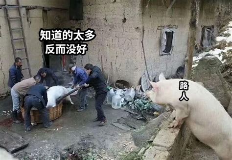 知道的太多路人反而没好 网友制作的meme梗图