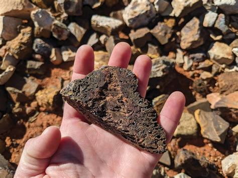 Fieldtrip Deep Time Observation And Geological Processes Landscape