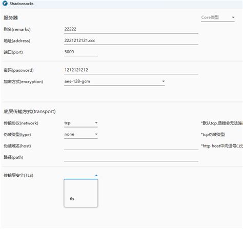 Sing Box Core Issue Dust V Rayn Github