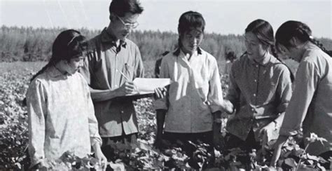 梅新育：新疆古丽的自由权利与维语红歌《毛主席的恩情唱不完》腾讯新闻