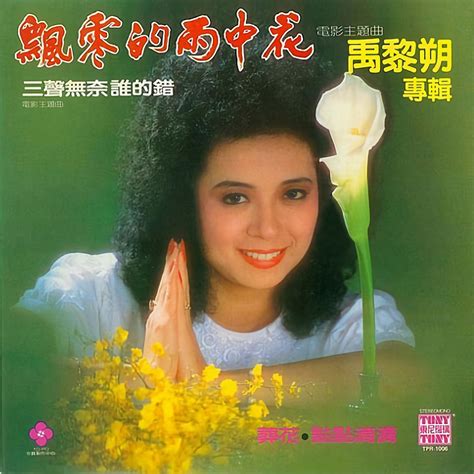 飘零的雨中花禹黎朔高音质在线试听飘零的雨中花歌词歌曲下载酷狗音乐
