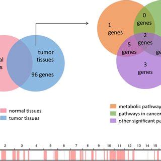 Venn Diagram Of Differential Genes Among All Genes With Single