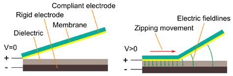 Schematic Zipping Actuator The Top Element Represents The Compliant